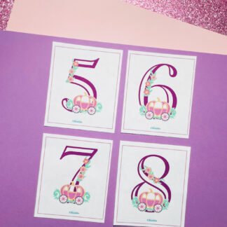 Princess Number Flash Cards - Extraordinary Chaos Shop